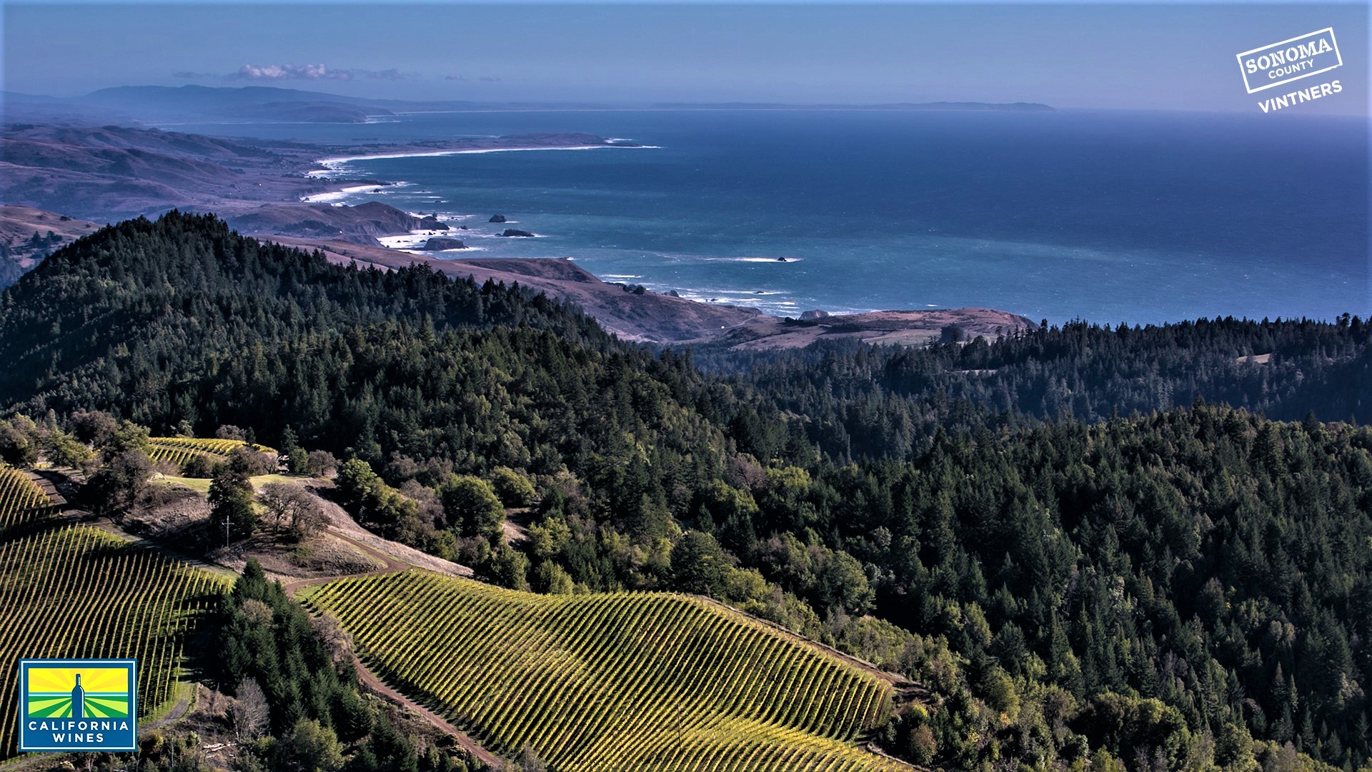 Take a Virtual Trip to California Wine Country with Zoom Backgrounds ...