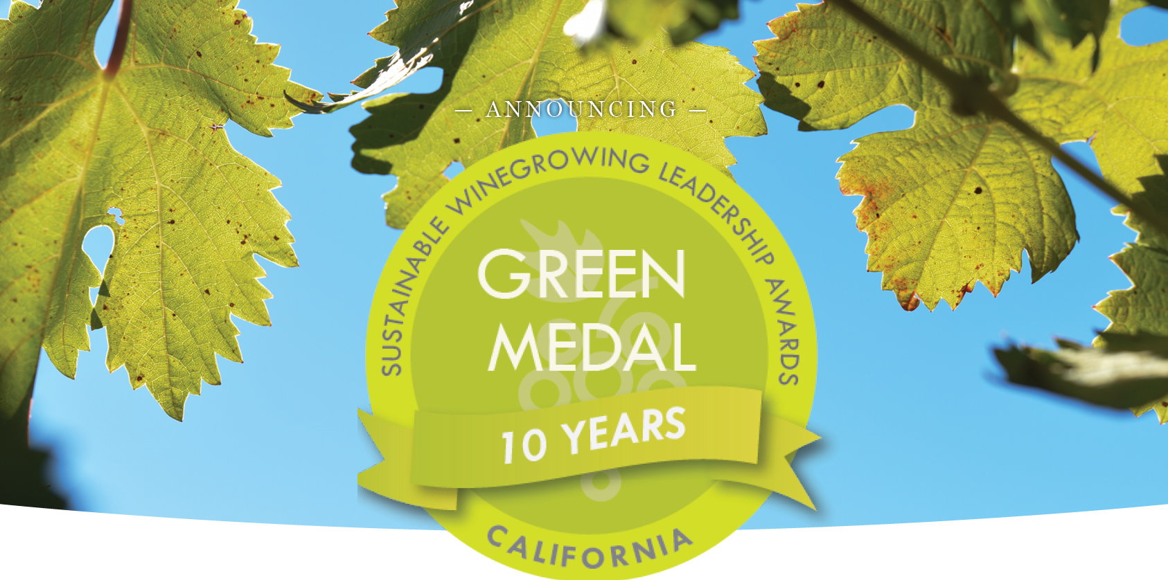 Wine and Sustainability Experts with 150+ Combined Years of Experience ...